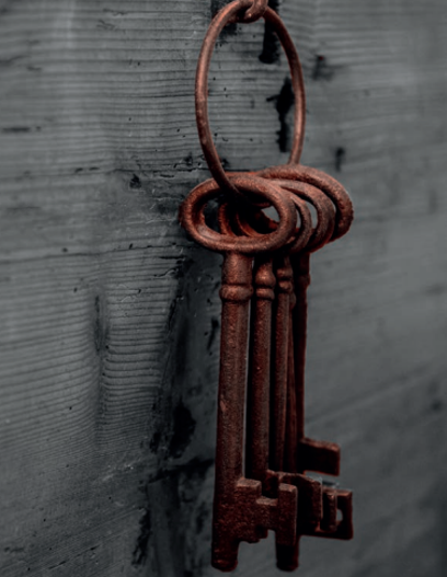 Tenants Guide to the Renting Process